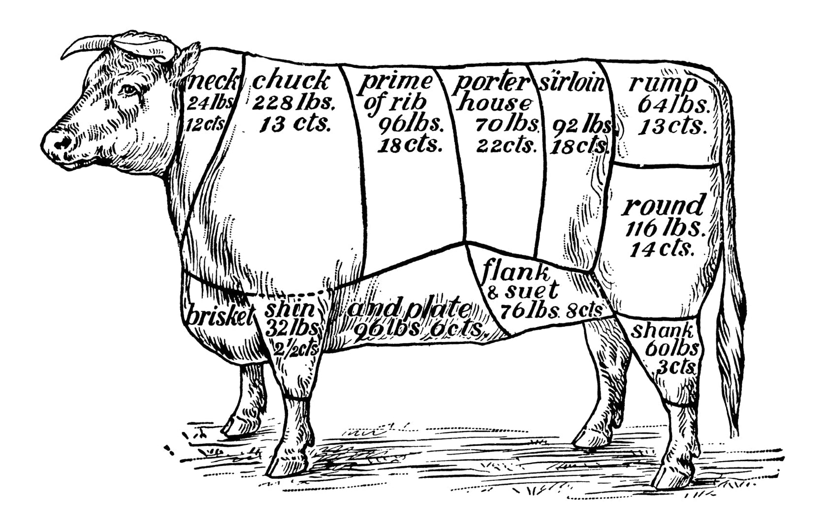 Whole Bulk Beef | Farm Fresh Beef | Grass Fed Alberta AAA Beef – Blue ...